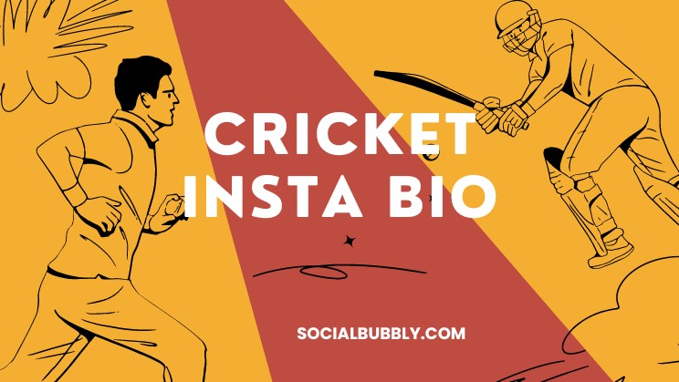 280+ Cricket Bio For Instagram: Lovers, Players, Captain